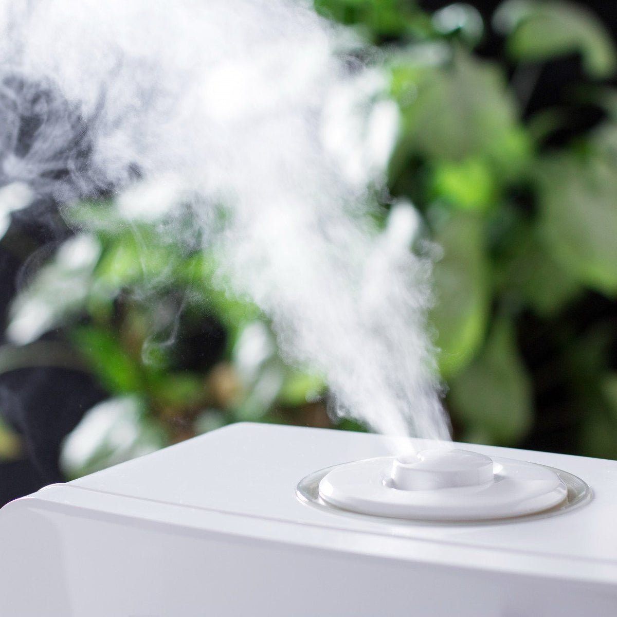 Wetting the Air: 9 Health Benefits for Using an Air Humidifier – Save ...