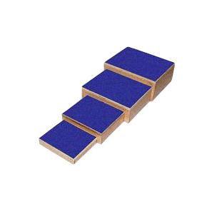 Therapy Steps – Save Rite Medical